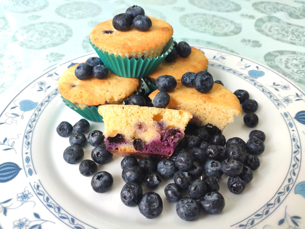 Muffini s borovnicama – MRVICA KrUHA